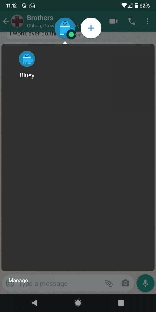 CAT LOVERS WILL LOVE THE ANDROID 11 EASTER EGG