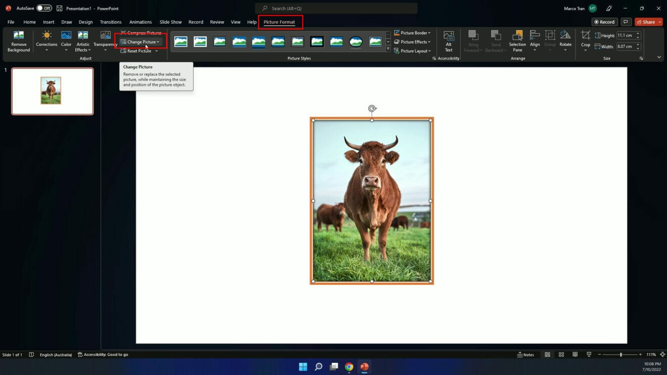 HOW TO CHANGE OR REPLACE AN IMAGE IN POWERPOINT